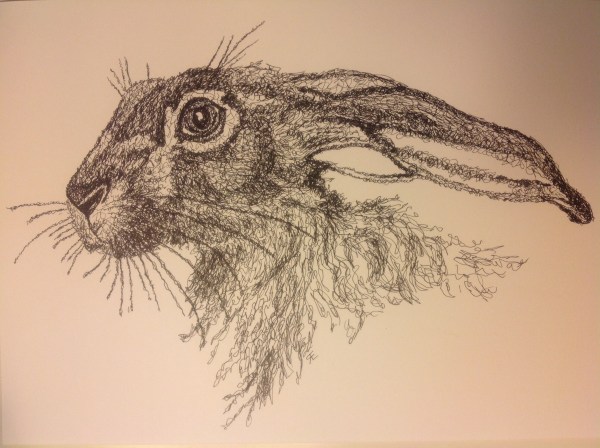 Back to basics, 0.2 pen scribble art hare | RebeccaEvans Create