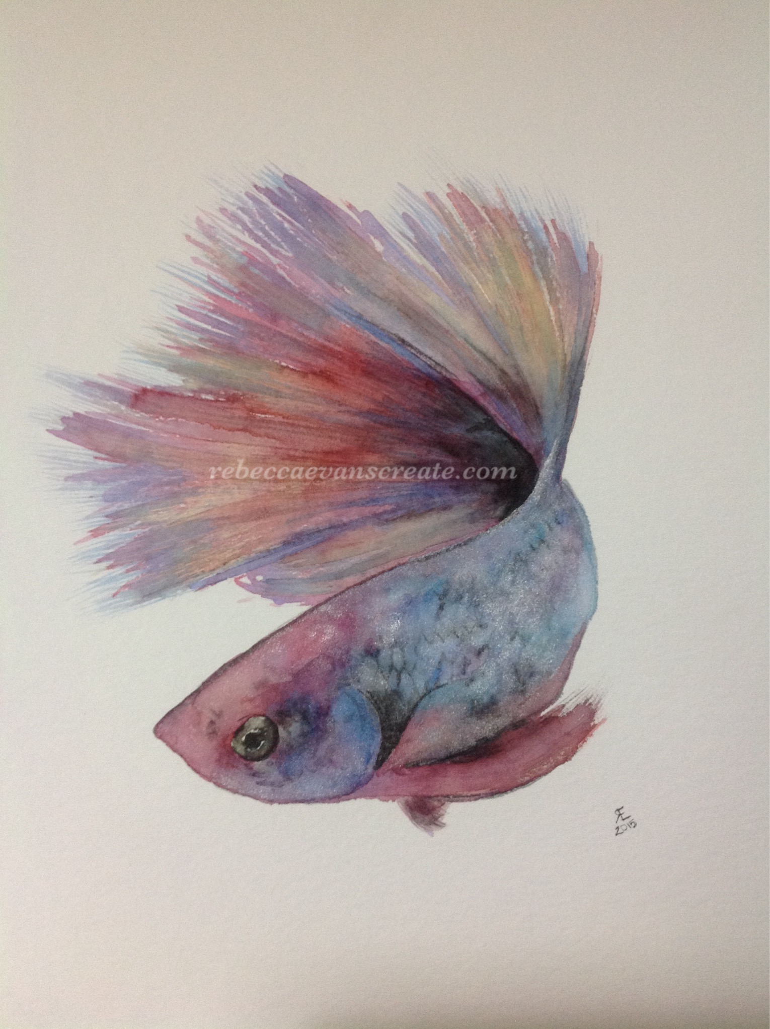 Something’s fishy! | RebeccaEvans Create